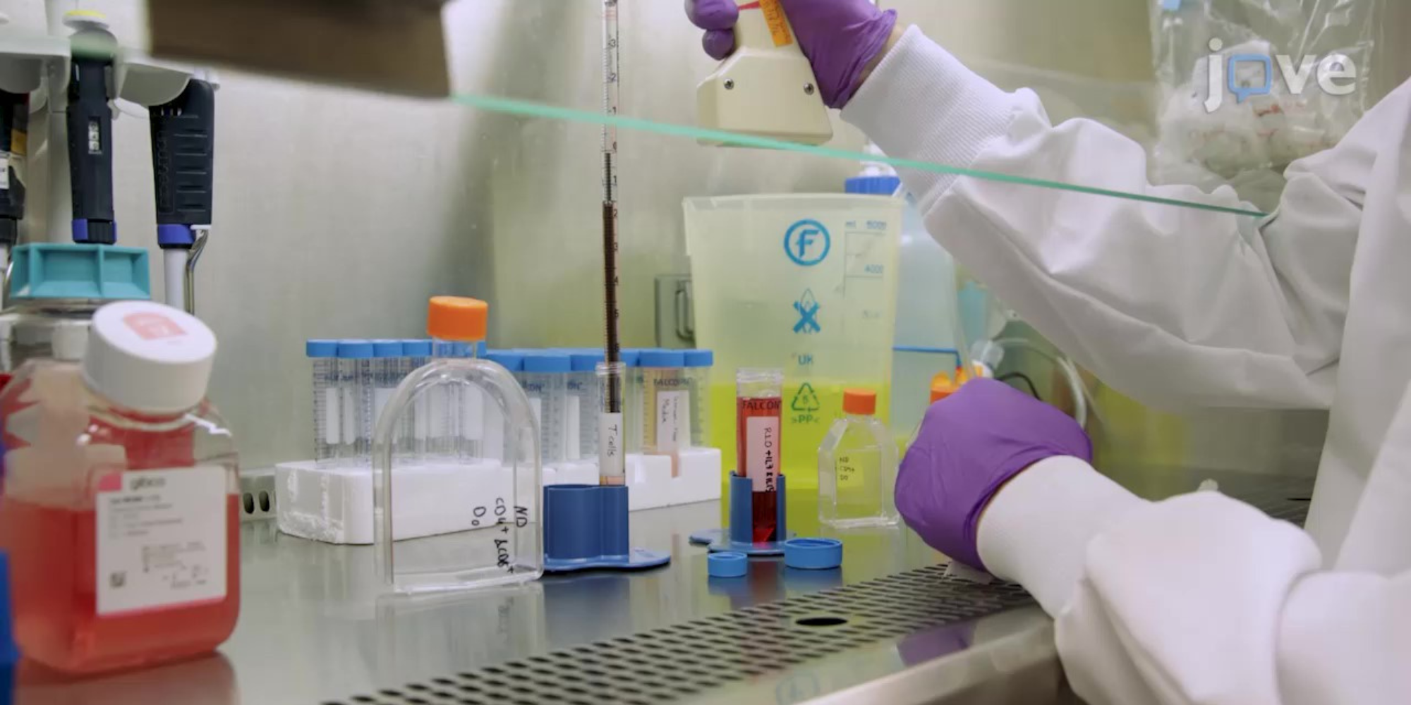 Top Biochemistry Video Articles